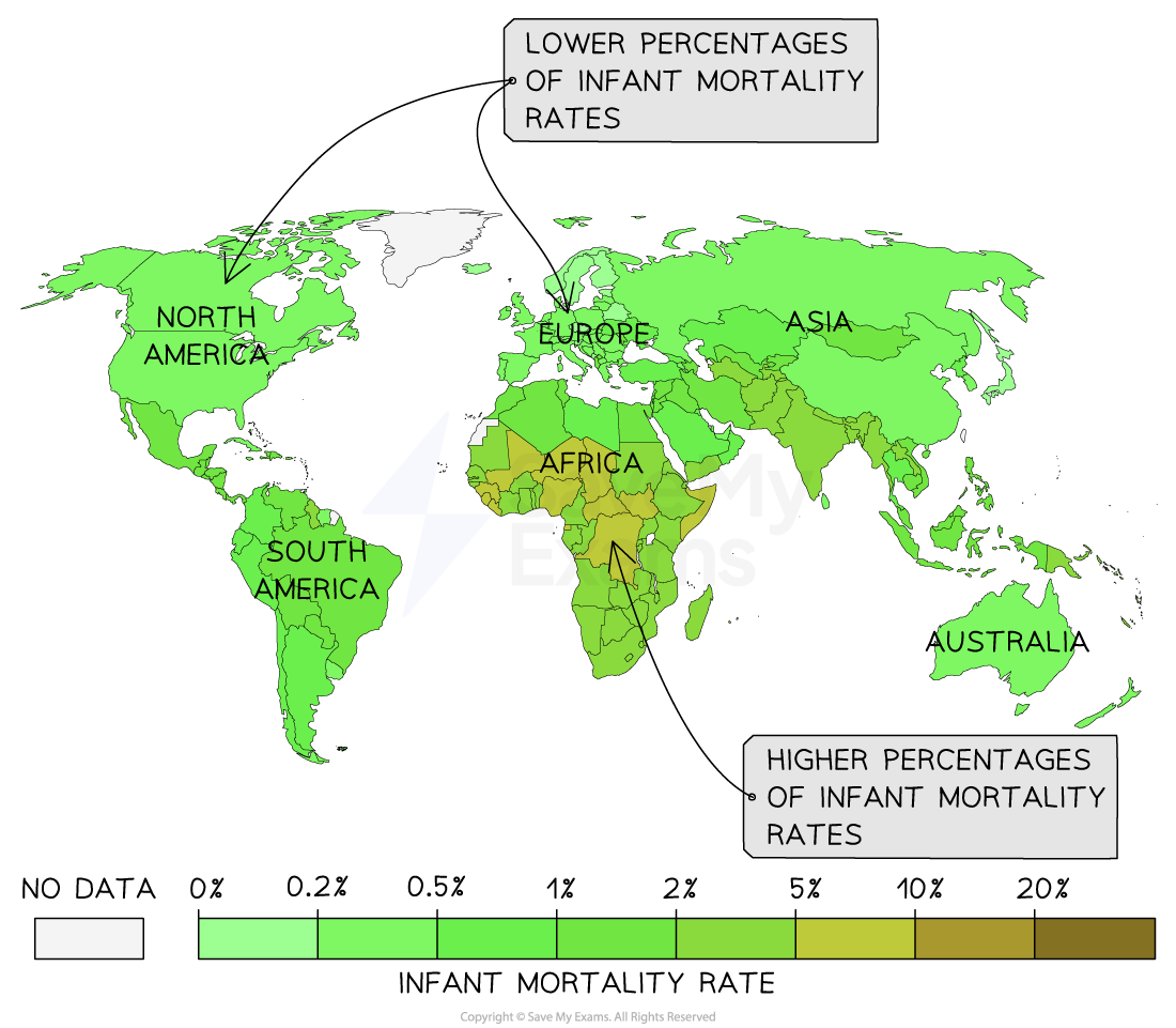 Infant Mortality Rate World