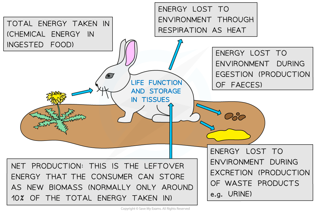 Ecological Efficiency Eco Efficiency Planet Discovery