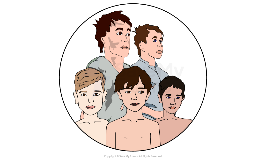 Simon Lord Of The Flies Tegning