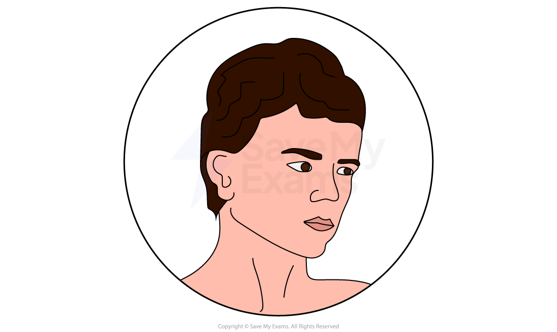 Simon Lord Of The Flies Tegning