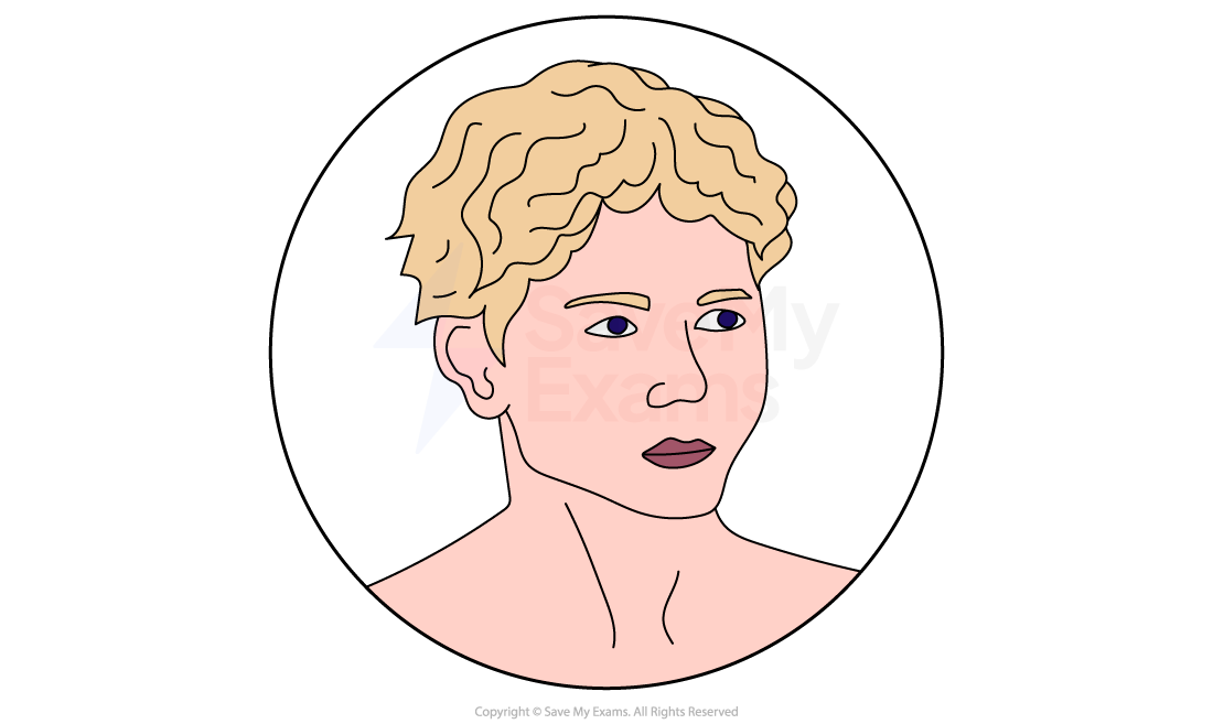 Simon Lord Of The Flies Tegning
