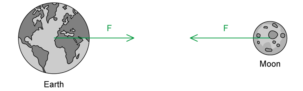 Gravitational Force Diagram