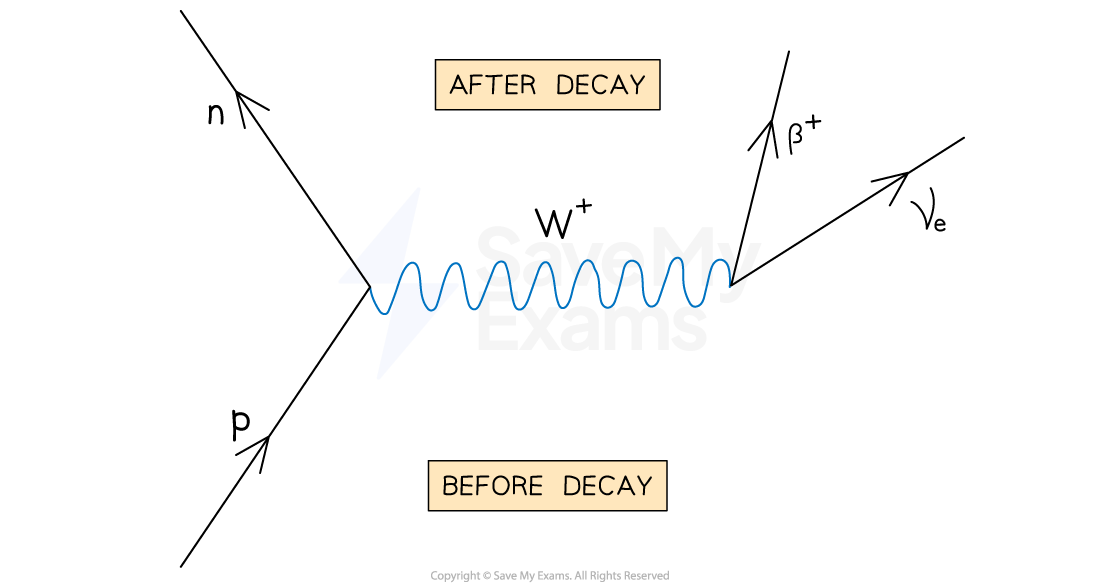 Feynman Diagrams And The Fly In The Ointment Oupblog How Richard