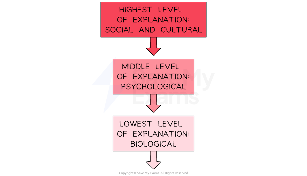 Reductionism Psychology