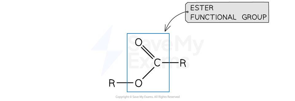 Ester Group Recent Advances In Polymers Bearing Activated Esters For