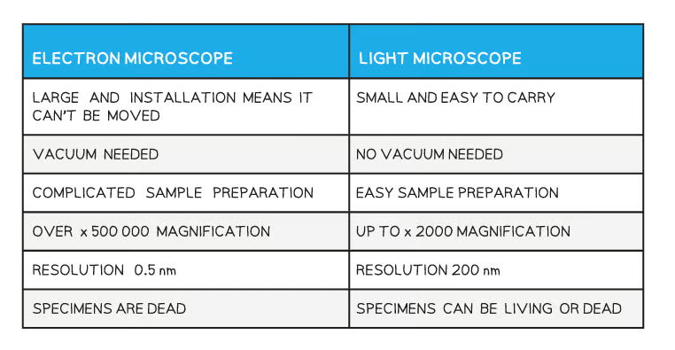 Differences Between Light And Electron Microscopes A Level Ii - Infoupdate.org