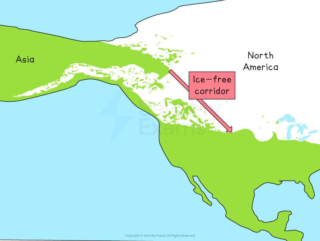 Early Americans Crossed The Landbridge From Asia To Present Day