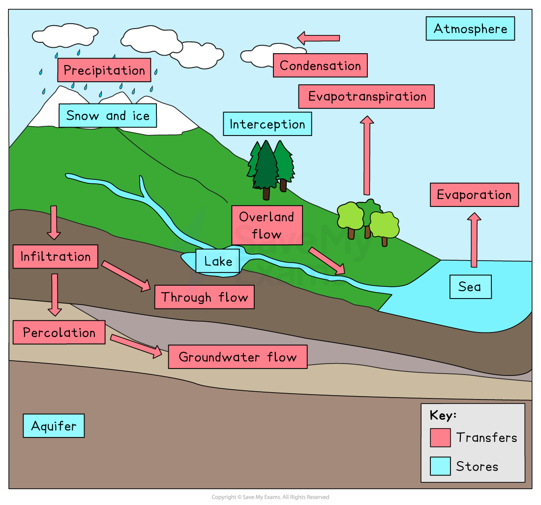 Hydrologic Cycle Diagram Geniebook: Sharpens Academic Performance From