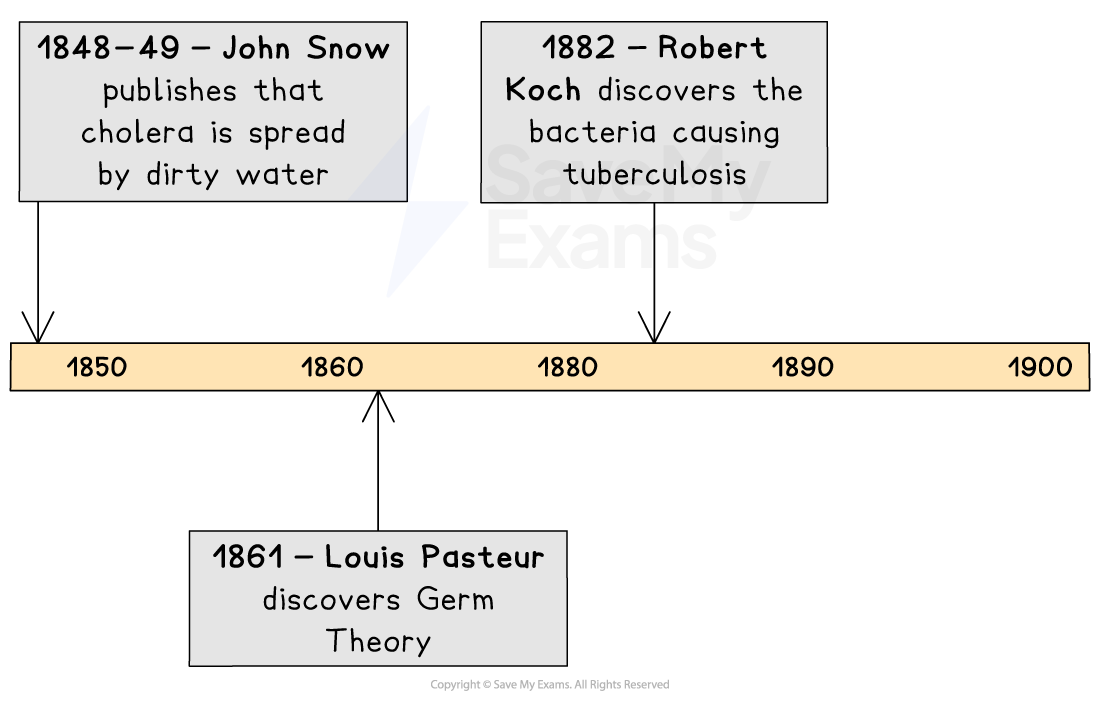 Louis Pasteur Timeline