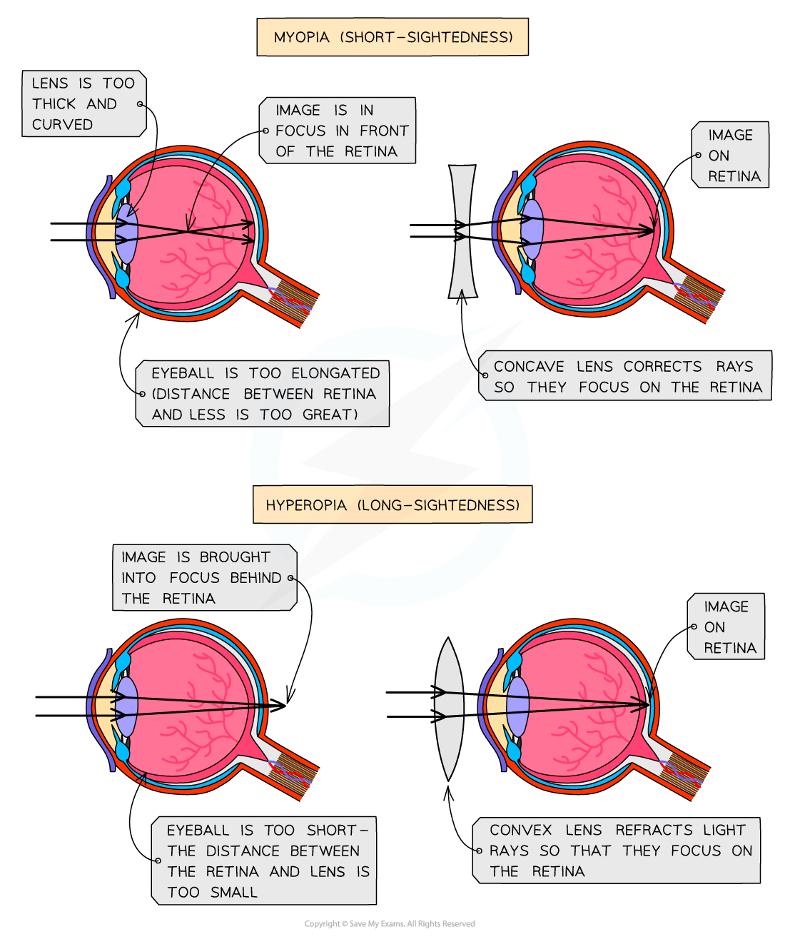 Anatomy Of The Eye Labeling Biology Worksheet Biology