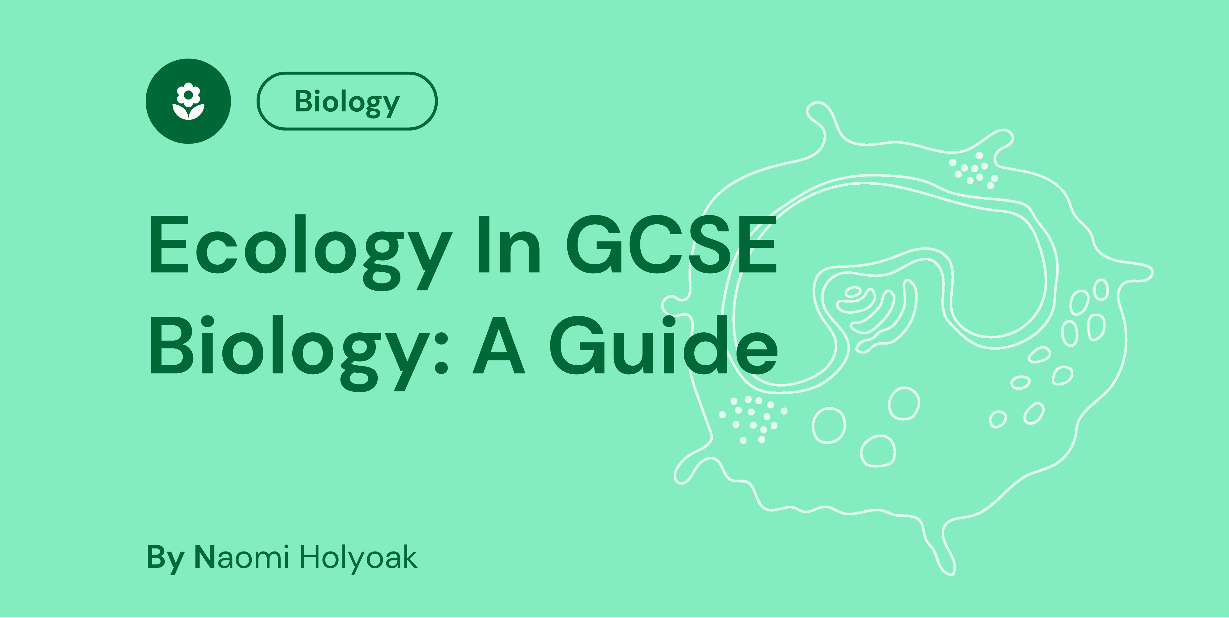 Animal Life Cycle Masteringbiology