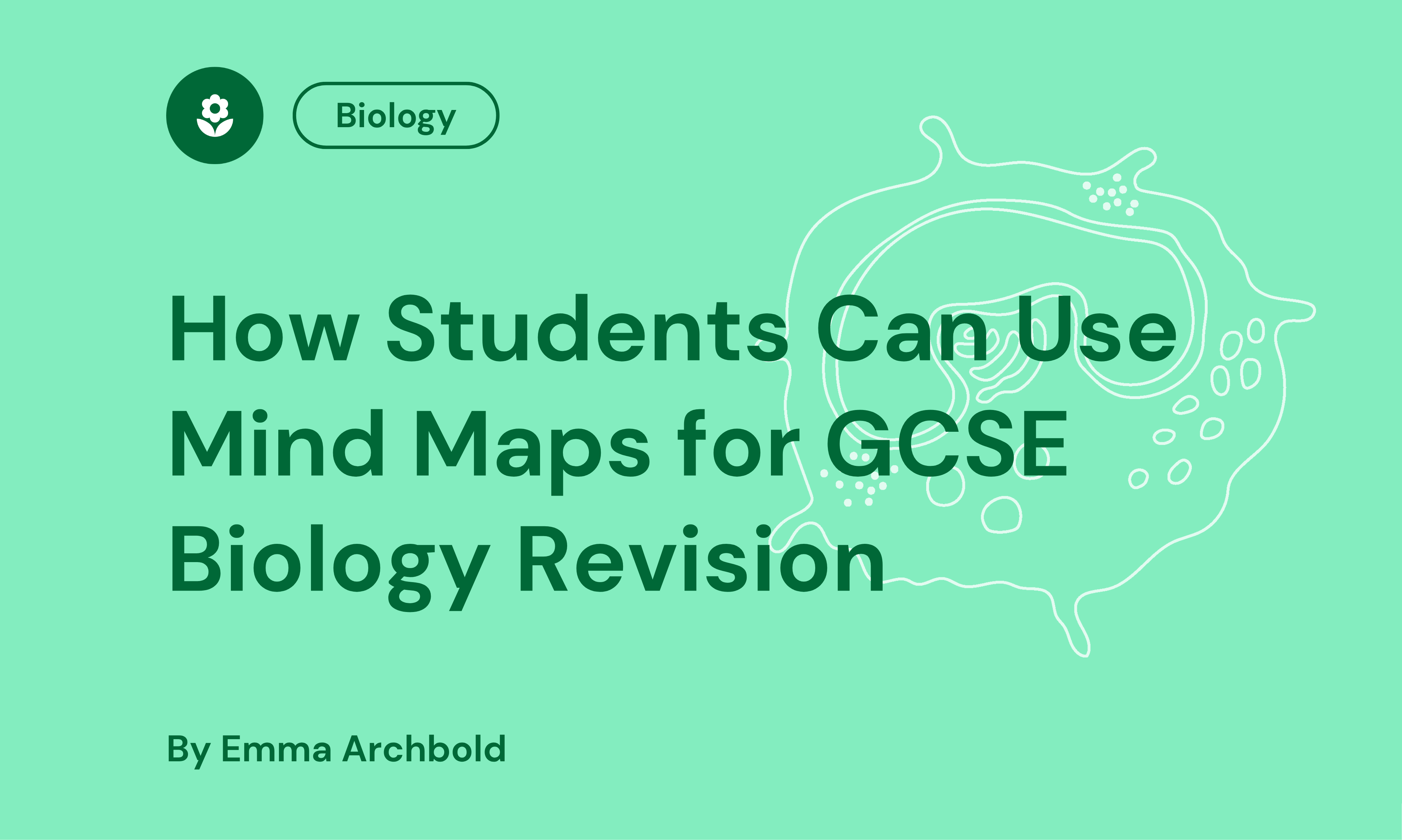 How Students Can Use Mind Maps for GCSE Biology Revision