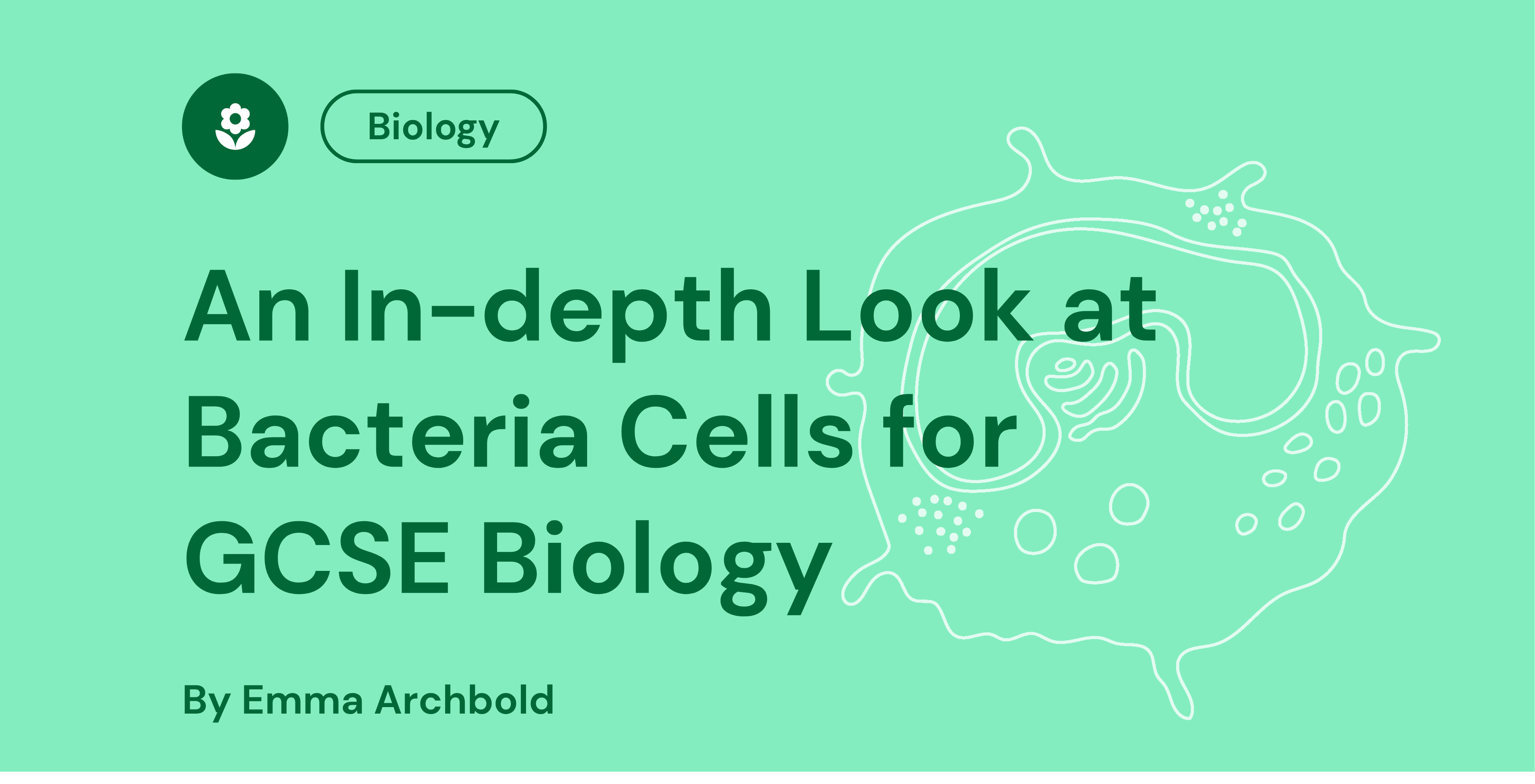 An In-depth Look at Bacteria Cells for GCSE Biology