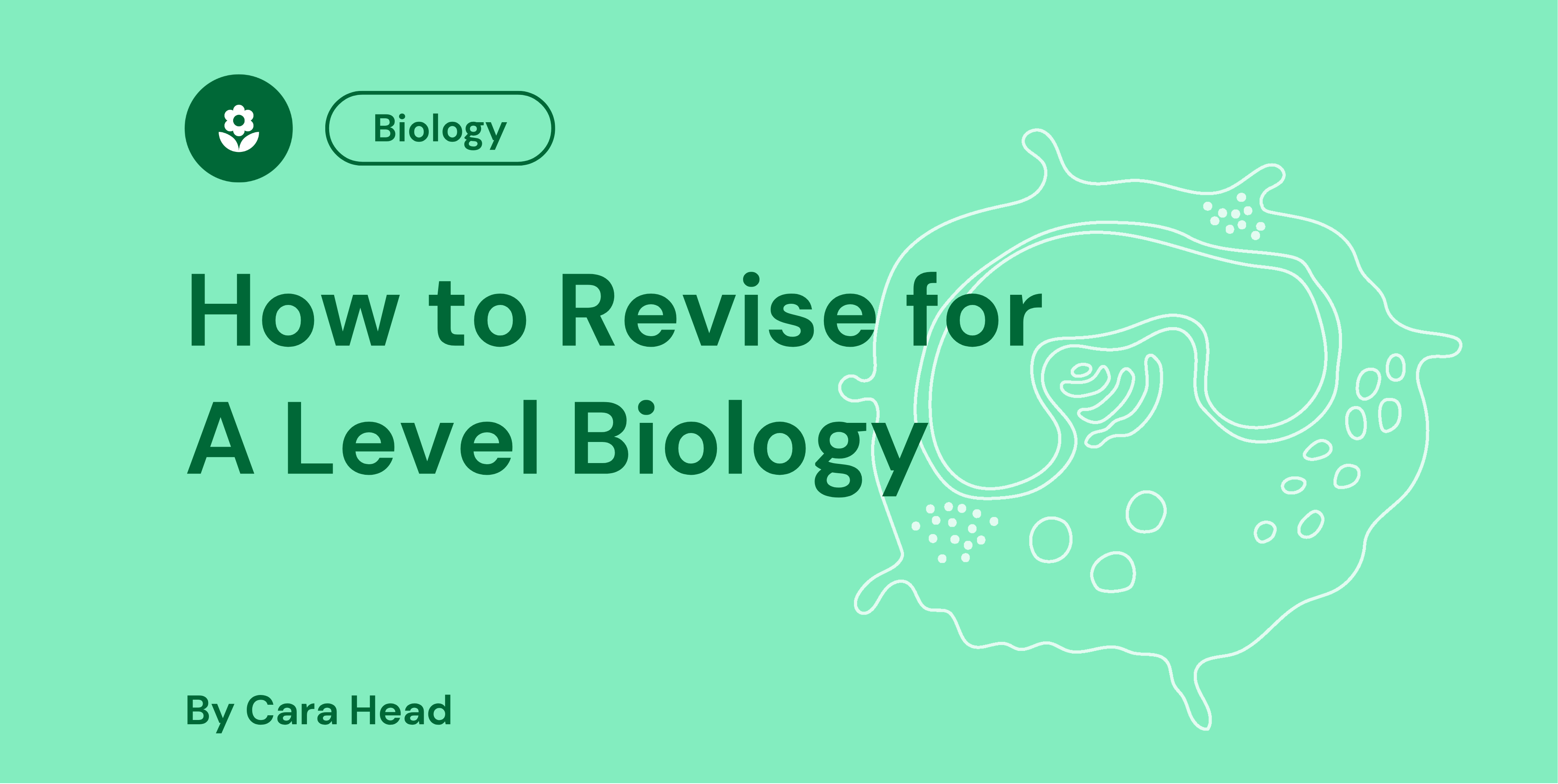 How to Revise for A Level Biology: Tactics That Work
