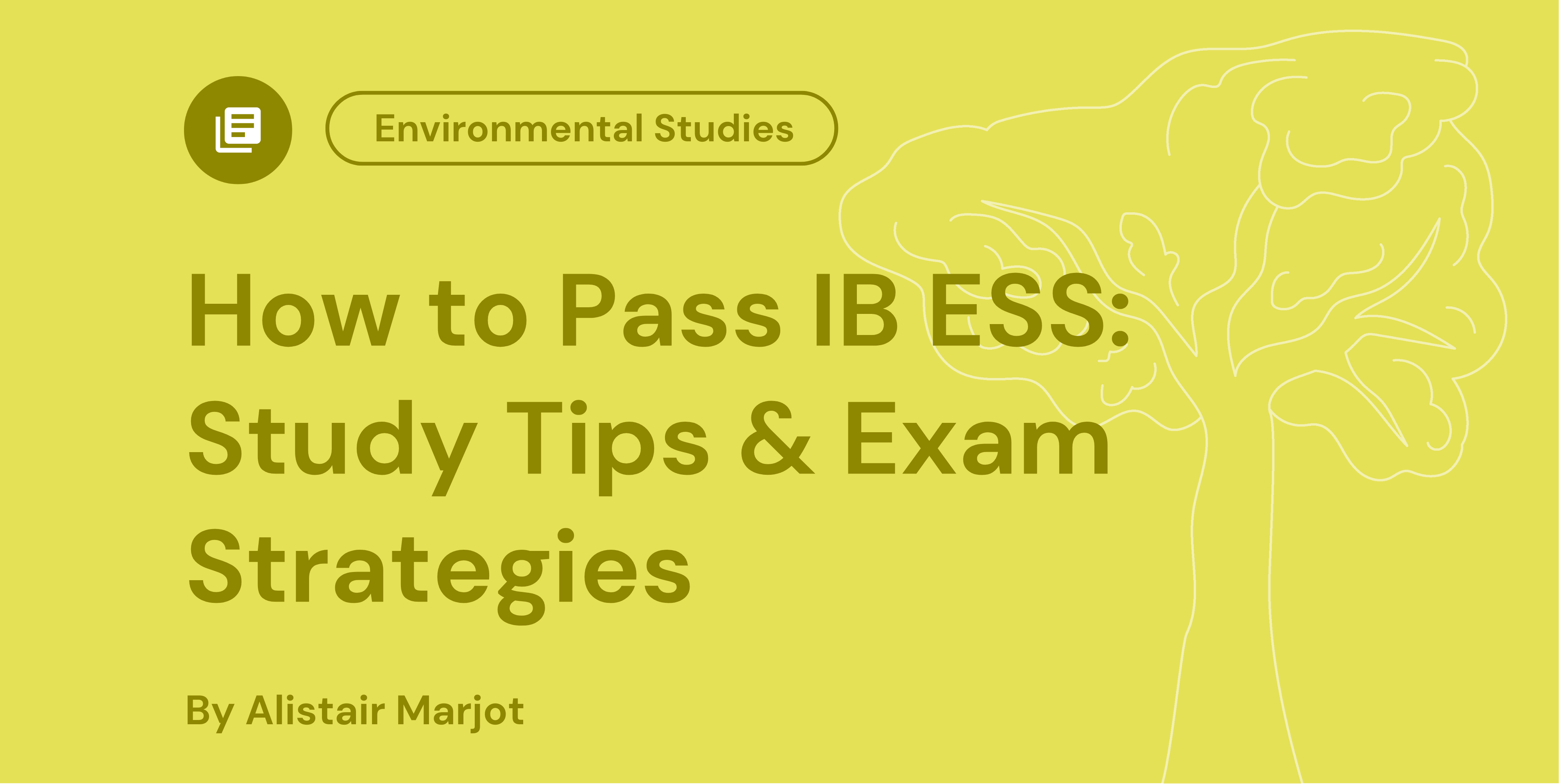 How to Pass IB ESS: Study & Exam Tips