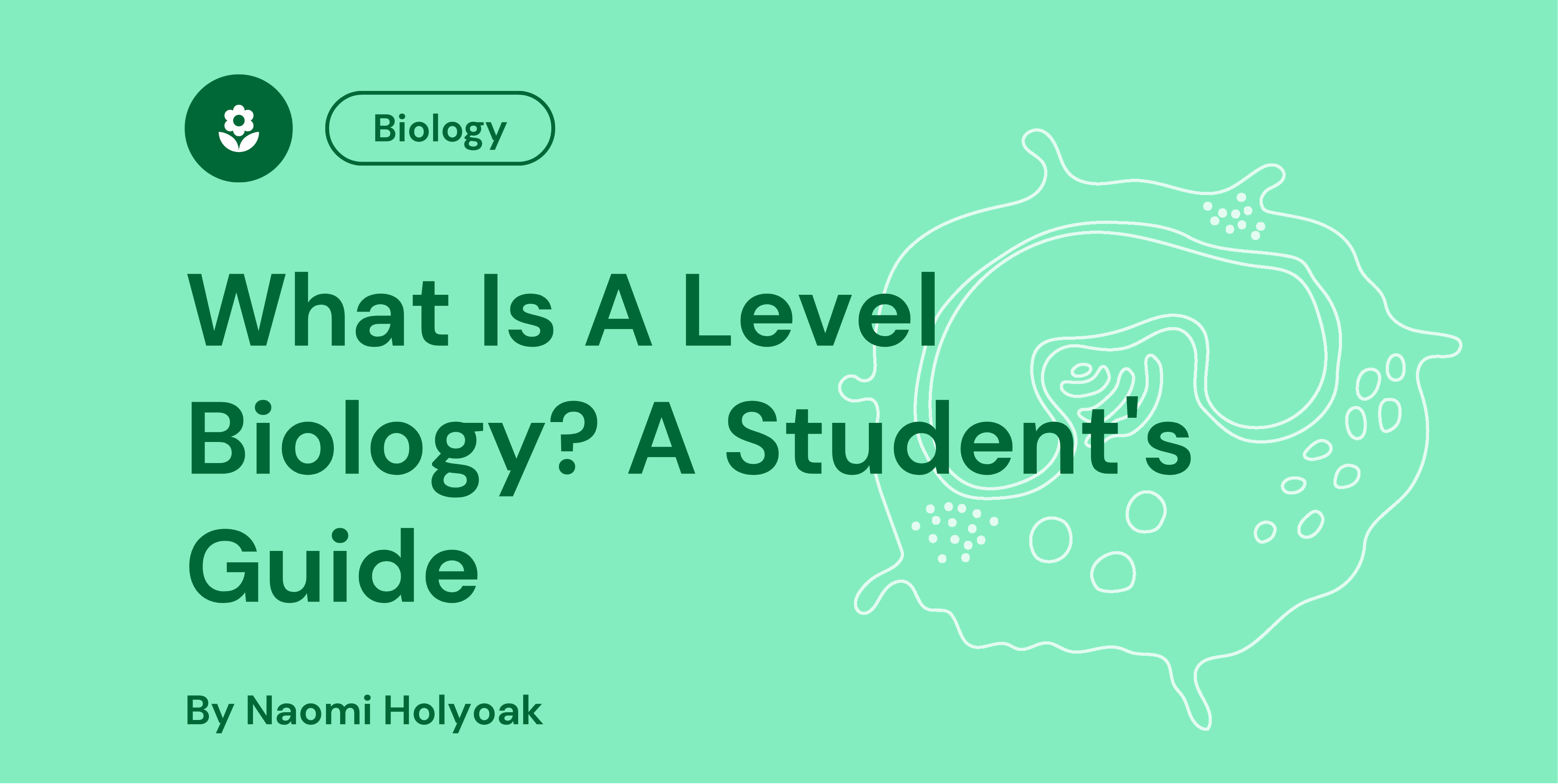 What Is A Level Biology? A Student's Guide