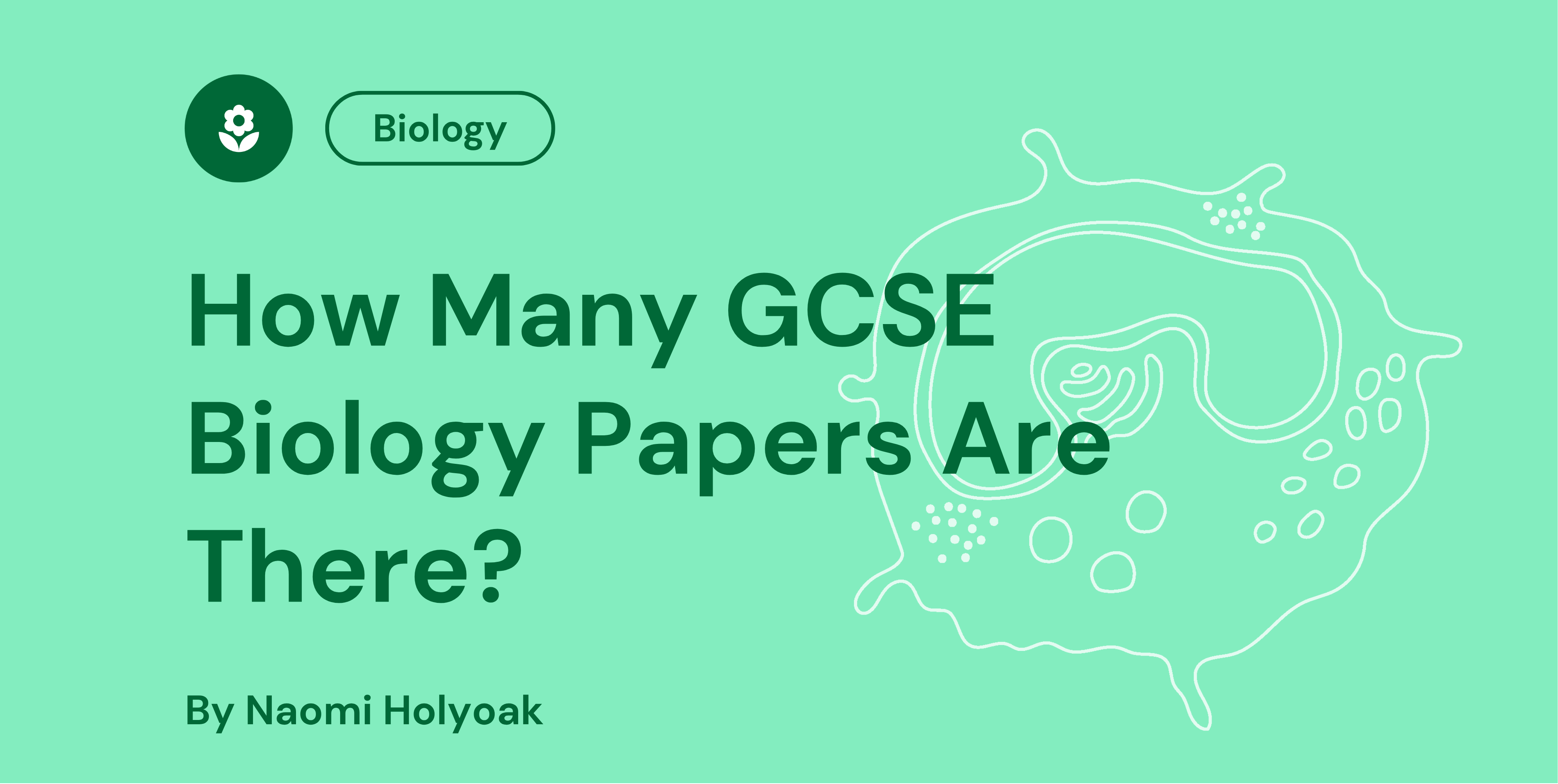 Bacteria Diagram Gcse