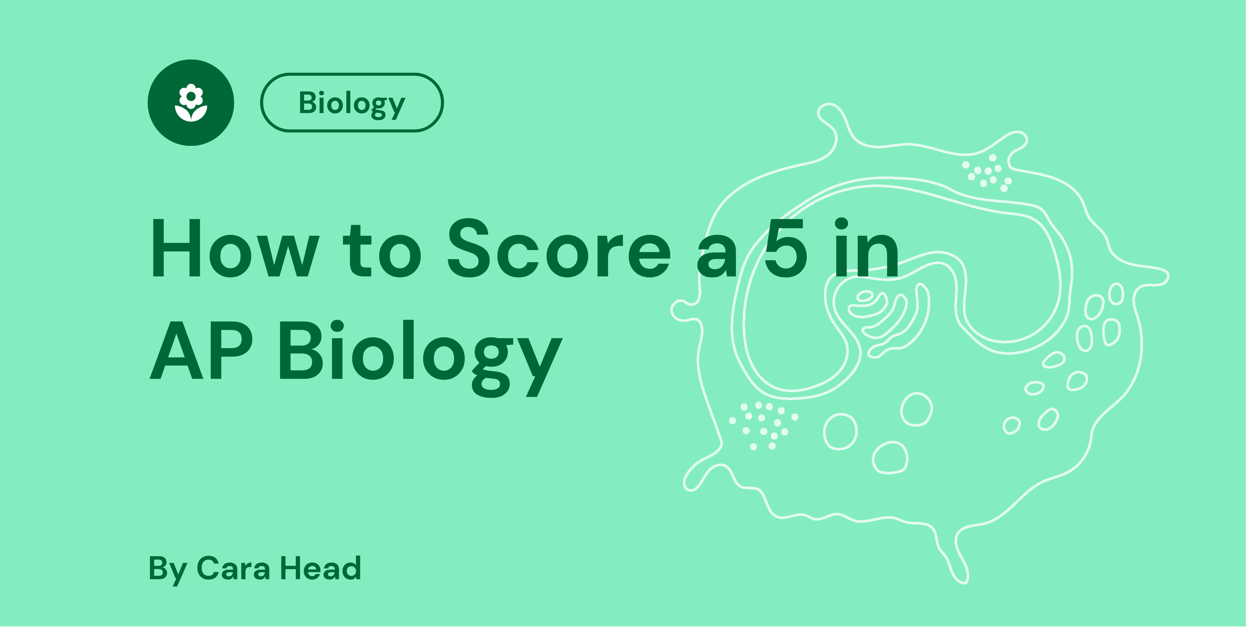 How to Score a 5 in AP Biology