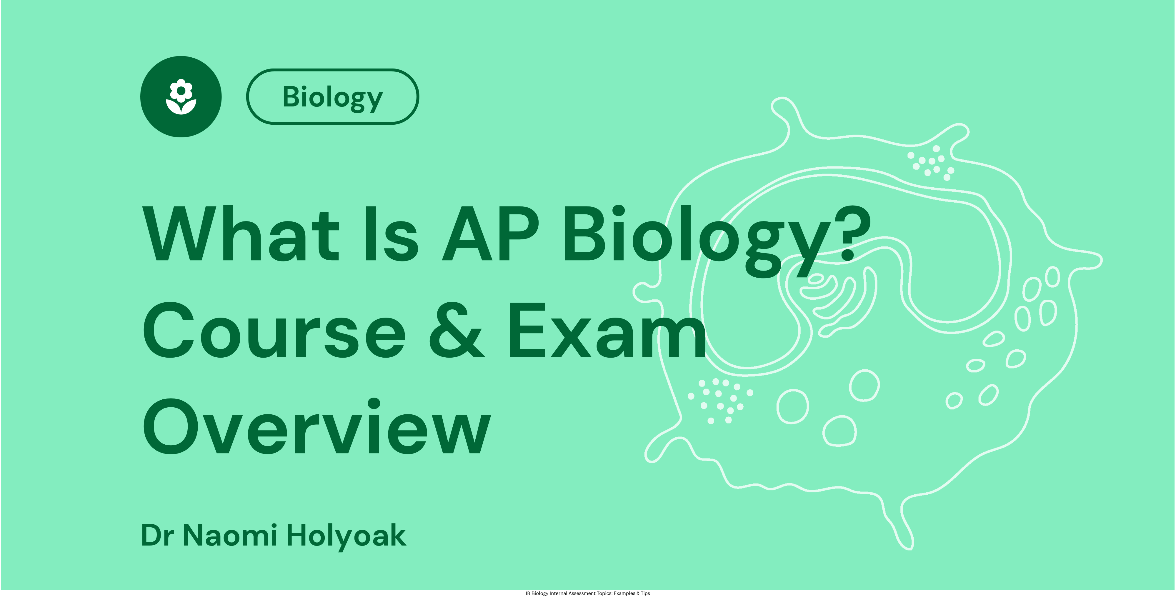 What Is AP Biology? Course & Exam Overview