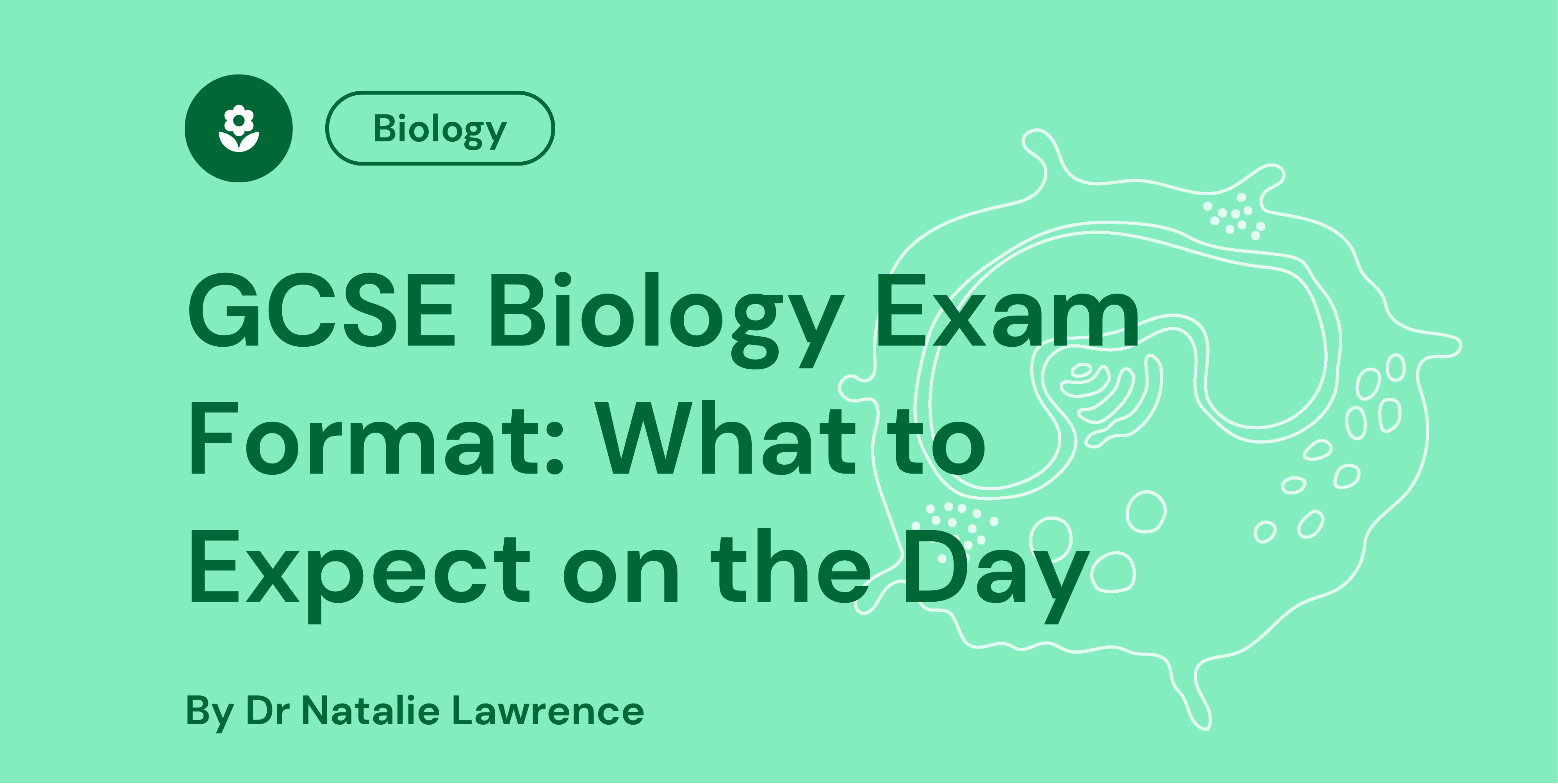 GCSE Biology Exam Format: What to Expect on the Day